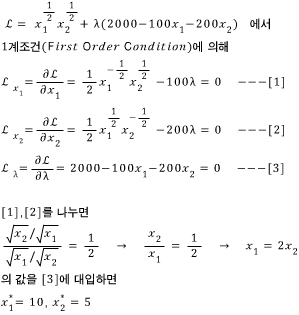 미크로 소비의 최적화문제, 마크로 소비의 최적화문제, 2기만을 가정한 소비의 최적화 모델 : 네이버 블로그