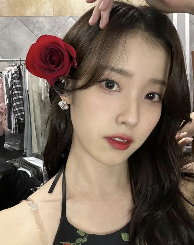 IU's Enchanting Charm Blossoms in Chicago - Discover Latest K-Pop News ...