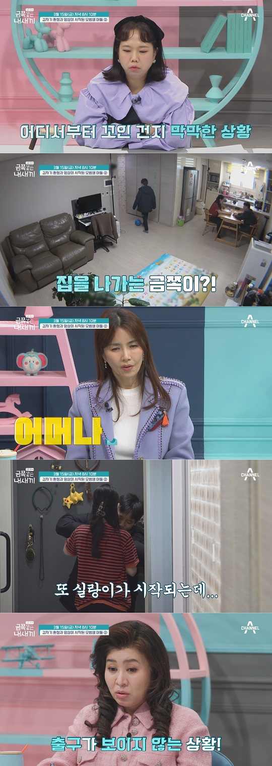 The story of the Golden Family, is there a possibility for change ...